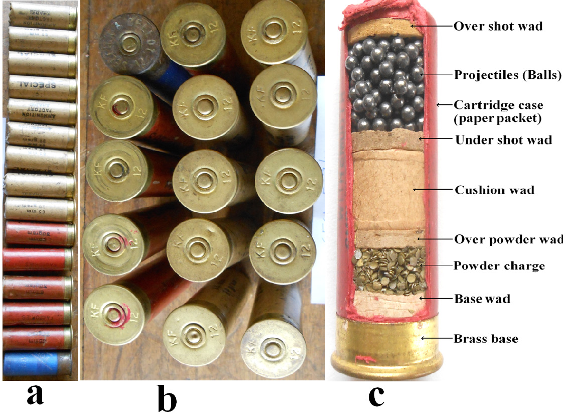 Bore Forensics at Michael Schiller blog