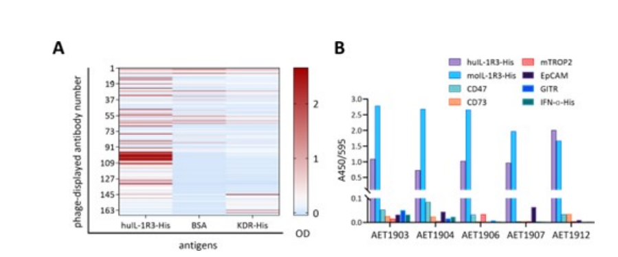 The Screening and Identification of Antibodies with Cross-Binding ...